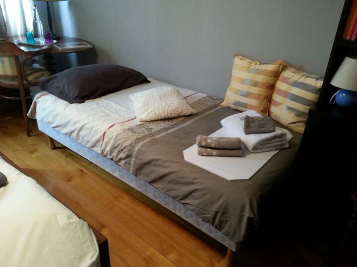 Chambre 3 Personnes Dans Bel Appartement Rénové - Clermont-Ferrand
