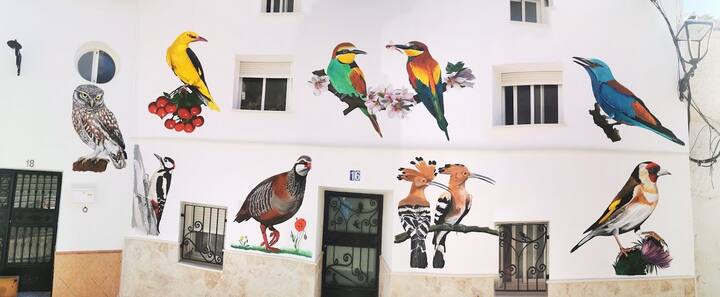 La Casa De Los Pájaros - Vélez-Rubio