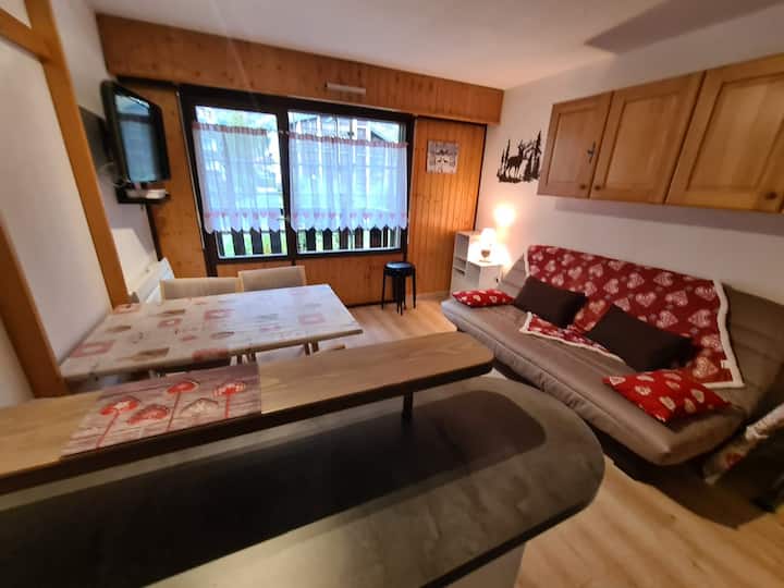 Studio 23m2 Rénové Avec Balcon Vue Sur Le Criou - Sixt-Fer-à-Cheval
