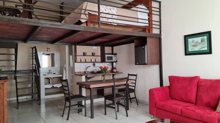 Casa Luza Depa. "Tema"  Hermoso Loft Con Mezanine - San Juan del Río
