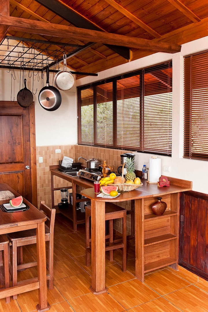 Apartamento Casa Guayo.   500 Mb Optical Fiber. - Turrialba