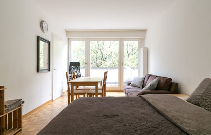 Appartement Nations / Léman - Ginevra