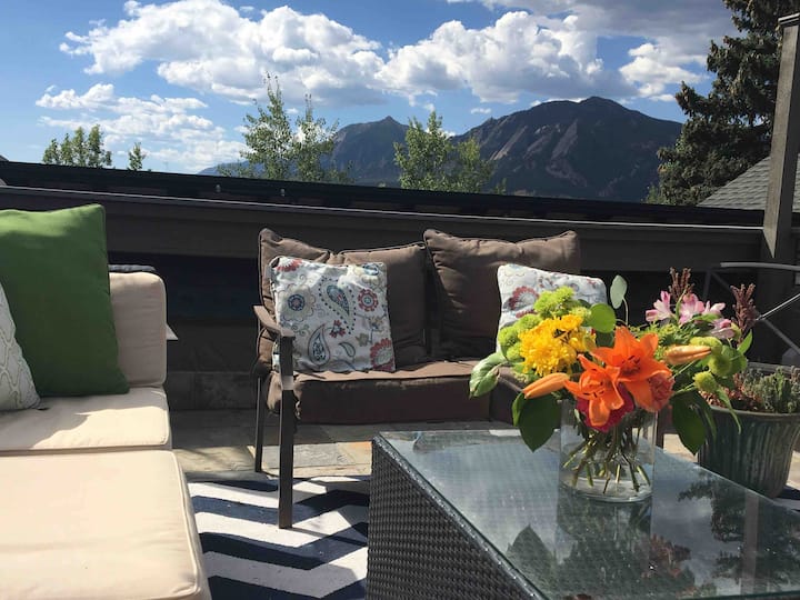 Craftsman W/roof Deck Views! Walk To Pearl - Boulder, CO