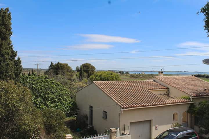 Méditerranée, Un Petit Coin Protégé Du Littoral ! - Vic-la-Gardiole