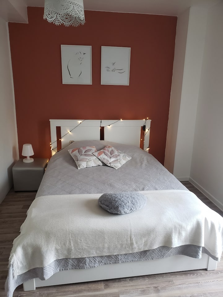 Jolie Chambre Dans Grande Maison - Lavaur