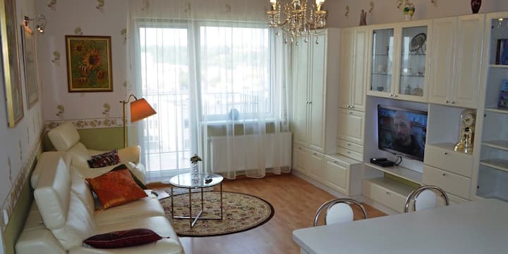 Quiet Nice Flat In The Center With - Vilnius