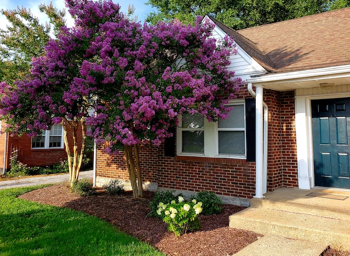 Maple Street House - Murfreesboro, TN