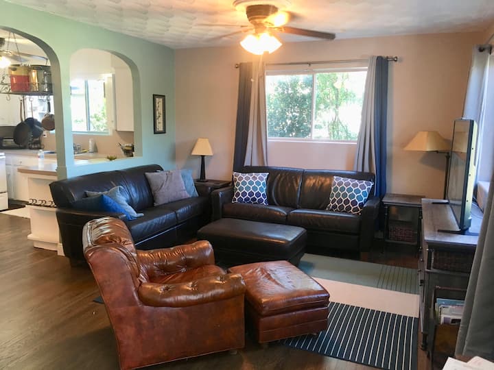 Small Room, Big Windows, Nice View, Small Price! - Hollywood, FL