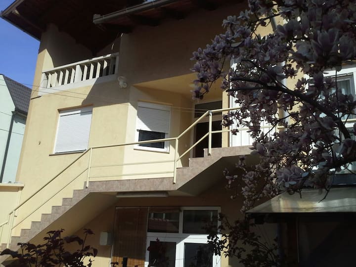 House Apartment Near The Old Town - Mostar