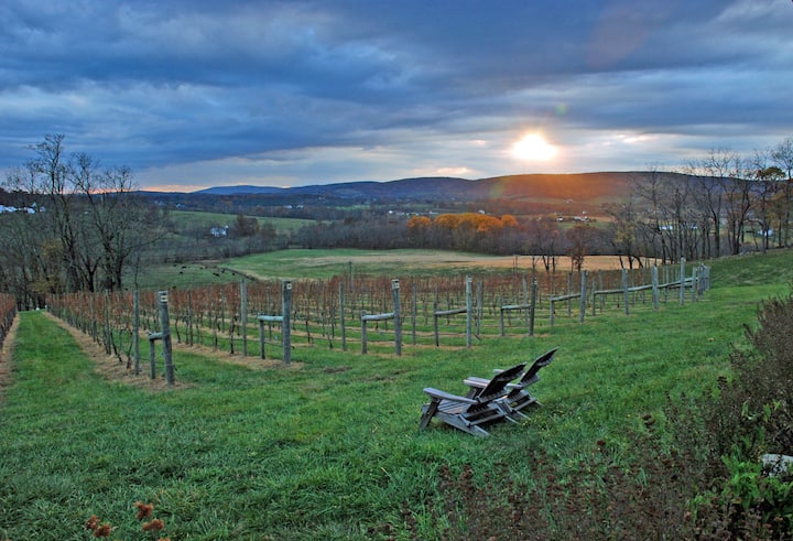 Van Gogh's View In Private Villa - Middleburg, VA