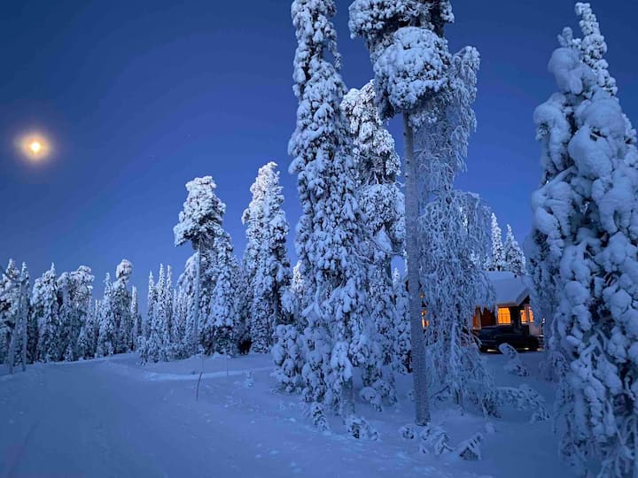 Northern Finland Vacation Rentals & Homes - Finland | Airbnb