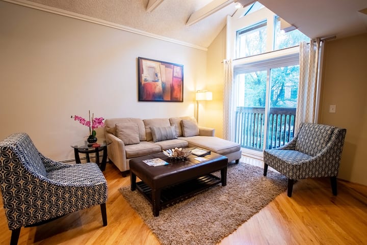 Lincoln Park 4bd/2ba Fireplace (2) - Chicago