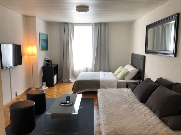 Cozy 2 Room (1br) Apartment In Zurich City - Zürich