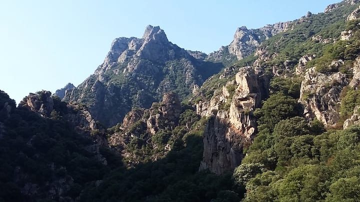 Gite Entre Olargues Et Les Gorges D'héric - Olargues