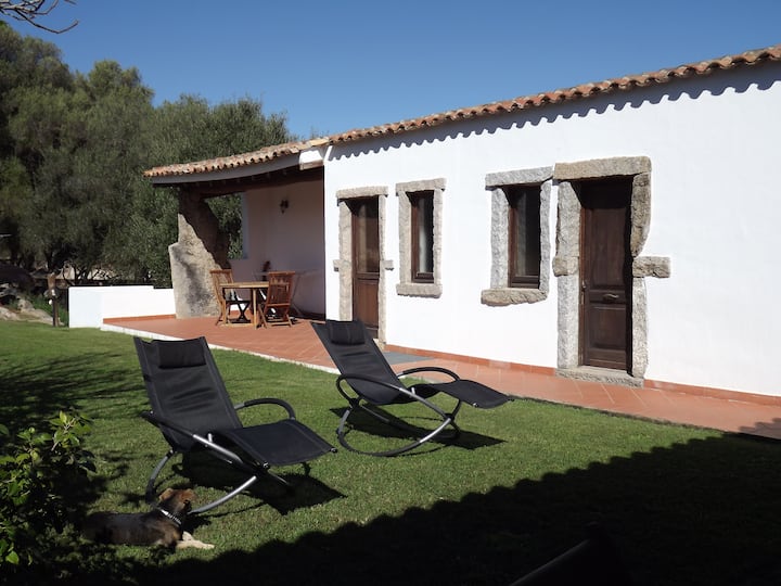 Appartamento Olivi - Agriturismo Vecchio Ginepro - Arzachena