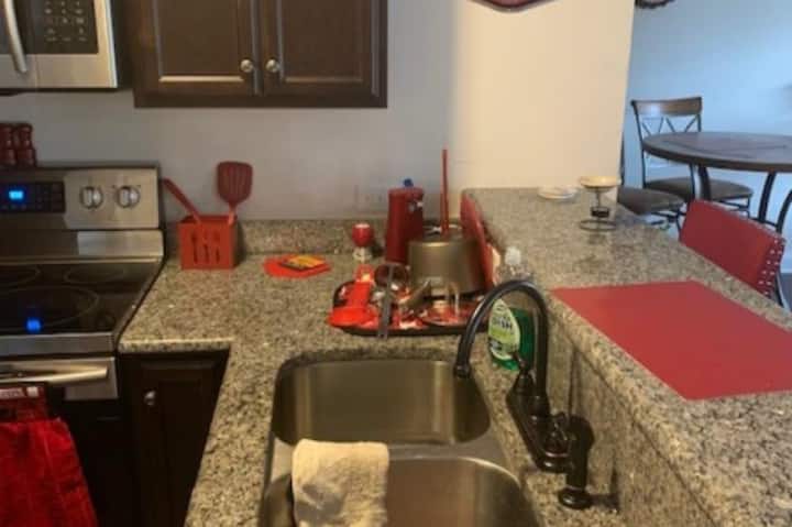 Top Of The Line Basement Apartment - Ridgeway, SC