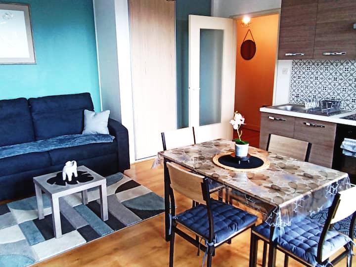 Appartement Très Lumineux. - Limoges