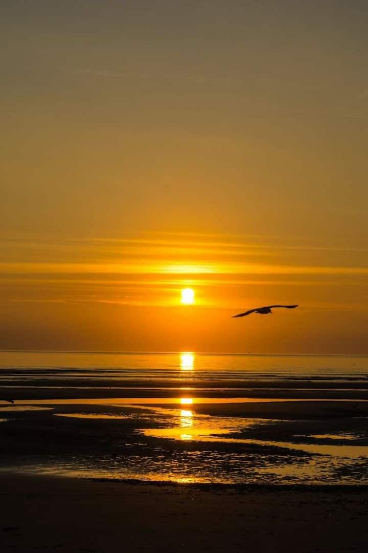 Face Mer Magnifique Station
Vue Exceptionnelle - Le Touquet-Paris-Plage