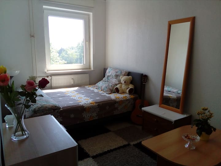 Private Room Mainz( Opposite Biontech) - Mainz