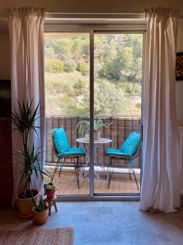 Spacieux Studio Calme Proche Promenade Des Anglais - 尼斯