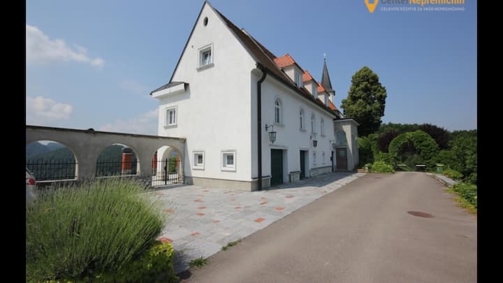 Maistrova Villa - Celje