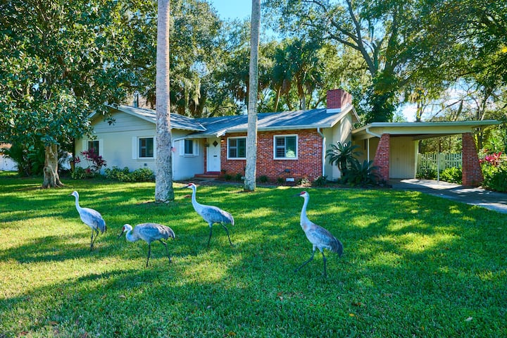 Mid Century Modern Home Near Downtown Sanford - Sanford, FL