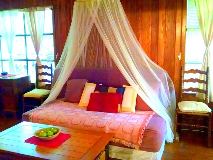 Cute Private Suite, 2 Bds, Pvt Bthrm, Own Entrance - Decatur, GA