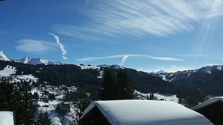 Comfortable Ski-out Apartment With Mont Blanc View - Les Gets