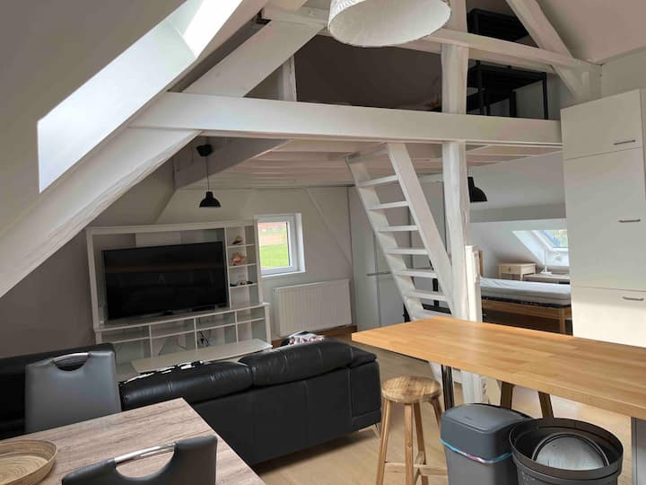 Schitterende Loft Met Gratis Parking Op Terrein - Tienen