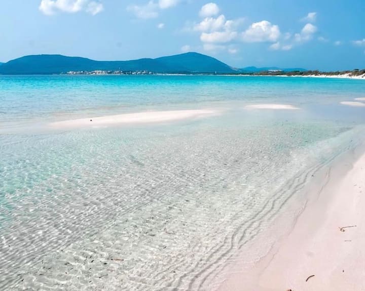 Appartement à 150 Mt De La Plage Lido-2 Chambres - Alghero