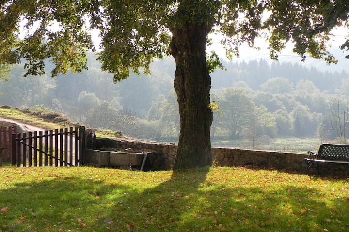 La Ferme Des Prés Gîte "Chez Mina" Dans Le Morvan - Saulieu