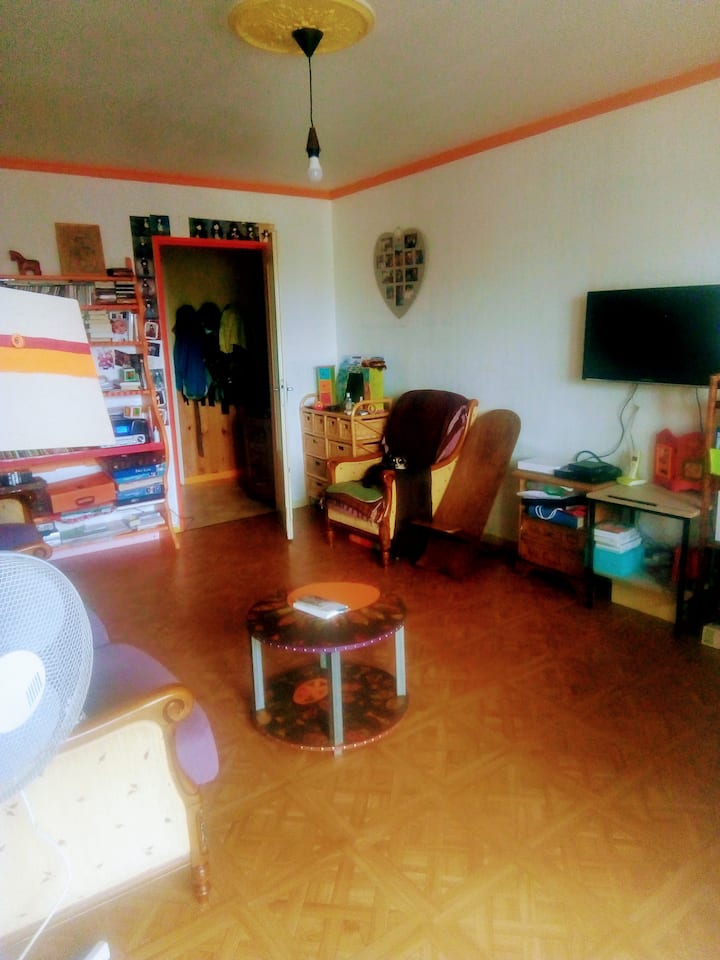 Coocooning Coloré A 5 Mn Du Métro - Lille