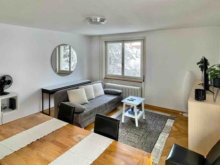 Comfortably Furnished Apartment In Zurich - Zurique