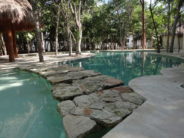 Tropical Paradise Apartment - Puerto Morelos