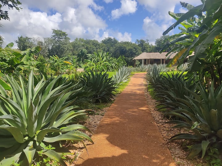 Top 10 Ranches To Stay In Mexico - Updated 2024 | Trip101