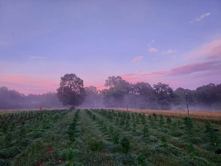 Private, Tranquil, Artistic Home On 32 Lush Acres - Graham-Mebane Lake