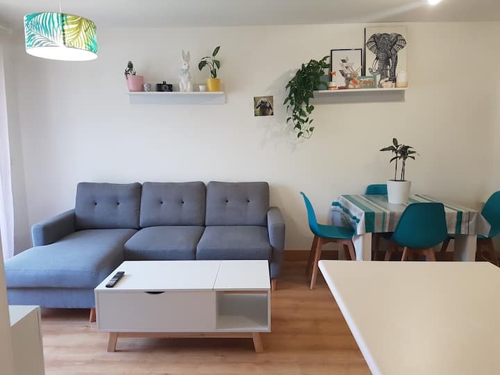 Joli T2, Exposé Plein Sud - Hondarribia