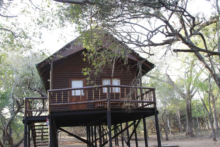 Treehouse In Private Game Reserve - Hluhluwe