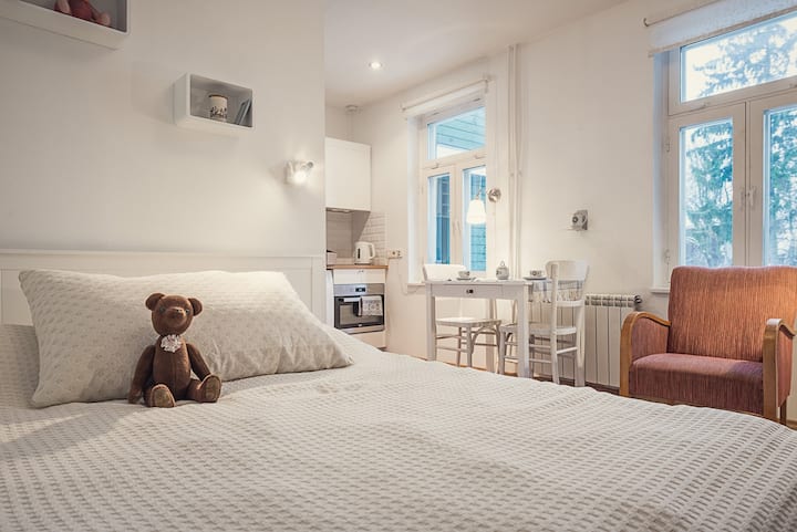 Cosy Retro Studio In Lovely Wooden Neighbourhood. - Tallinn