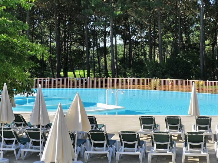 Beautiful Apartment With Swimming Pool, Surrounded By Pine Forest And Golf Ocean - Lacanau