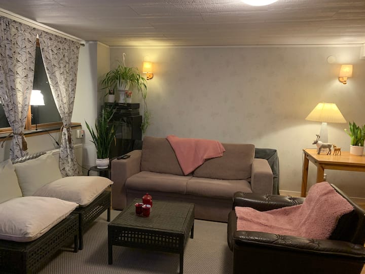 Sjöutsikt Lägenhet Med öPen Spis - Smedjebacken