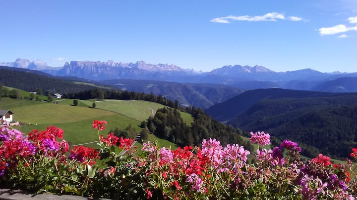 Bergfrische Atmen Und Glücklich Sein - Alpe di Siusi