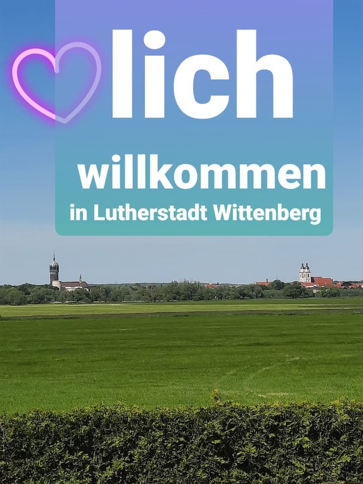 Schöne Dachgeschoßwohnung Mit Elbwiesenblick - Lutherstadt Wittenberg