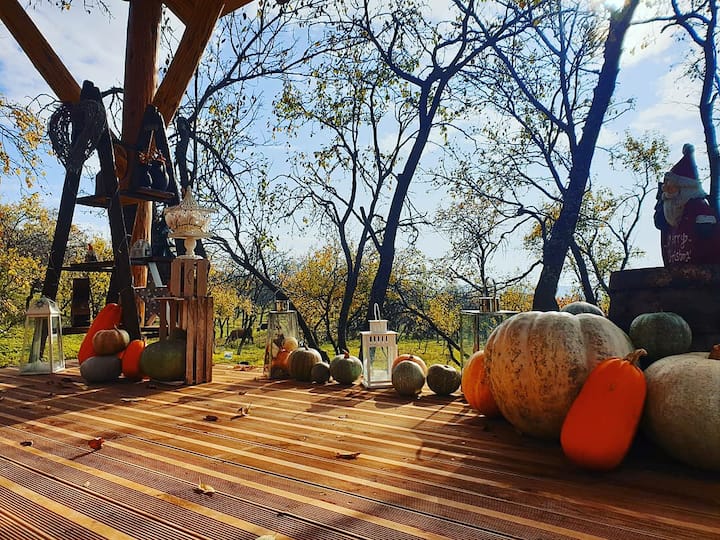 La Cabana Bunoiu 1 - Fieni