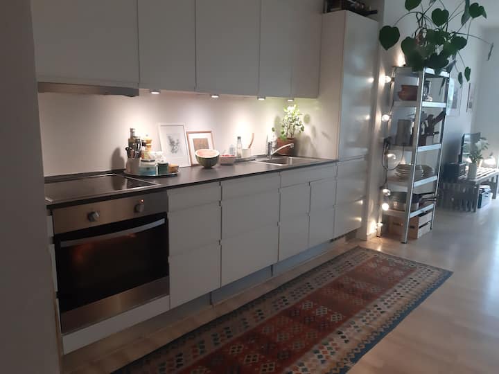 Hyggelig Lejlighed Med Skøn Terrasse.
Bilfri Gade - Copenhague