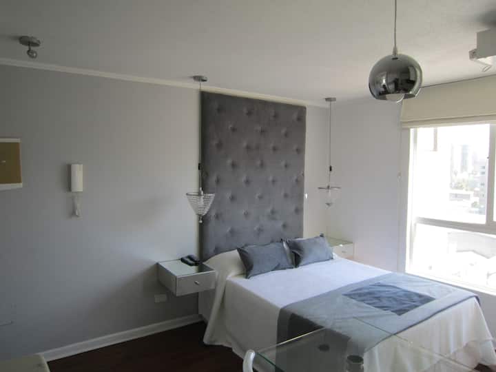 Encantador Y Bien Ubicado Studio - Providencia