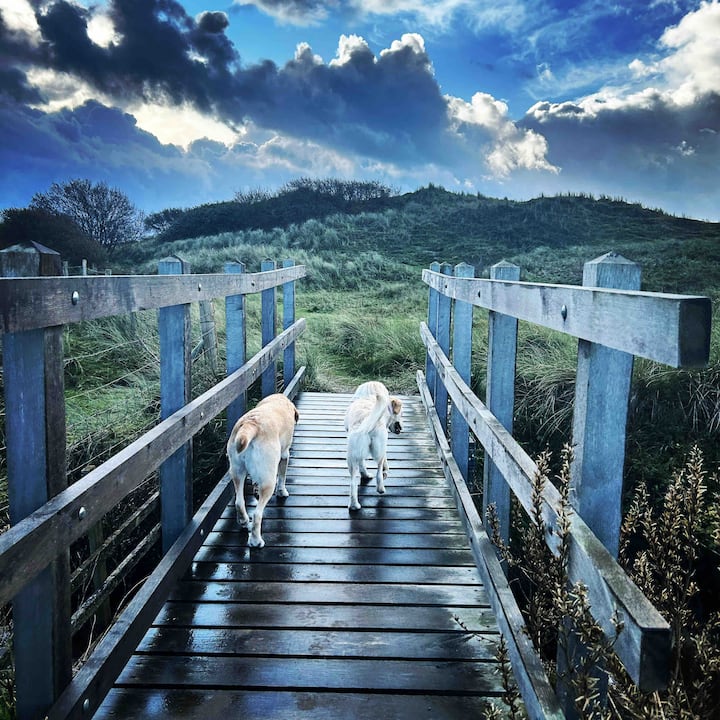 The Seaview Apartment (Dog Friendly) At Lluesty - United Kingdom