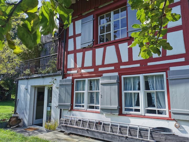 Gemütliche Ferienwohnung Direkt Am Bodensee - Suisse