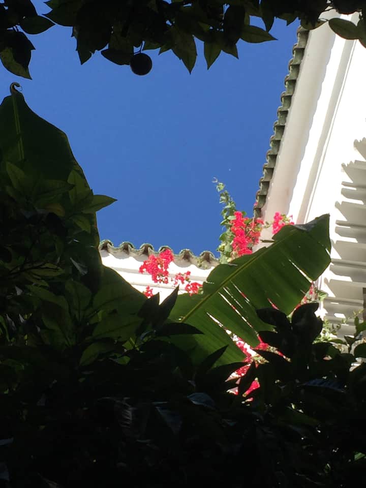 Privatisation D'un Riad - Médina De Meknes - Maroc - Meknès