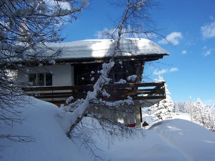 Riederalp Ost, 2 Zimmer Wohnung Im Chalet Belsito - Bettmeralp